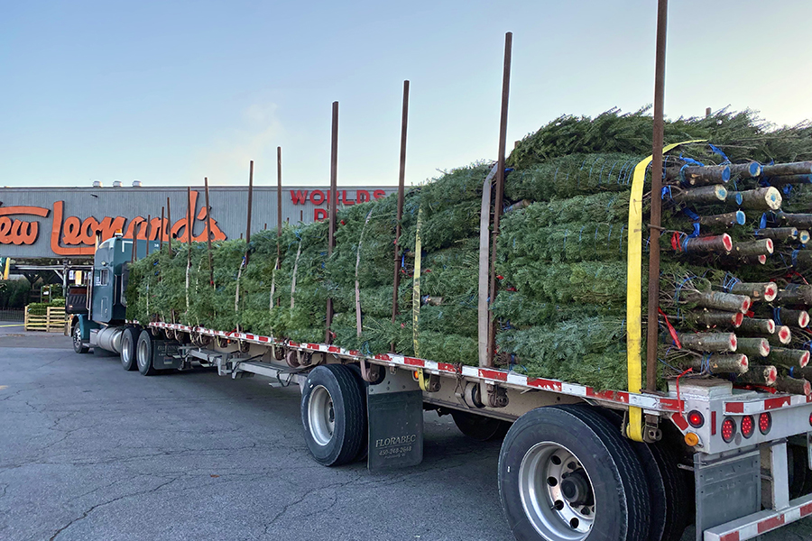 Talking Trees - Stew Leonard's Christmas | Grocery Delivery & Pickup